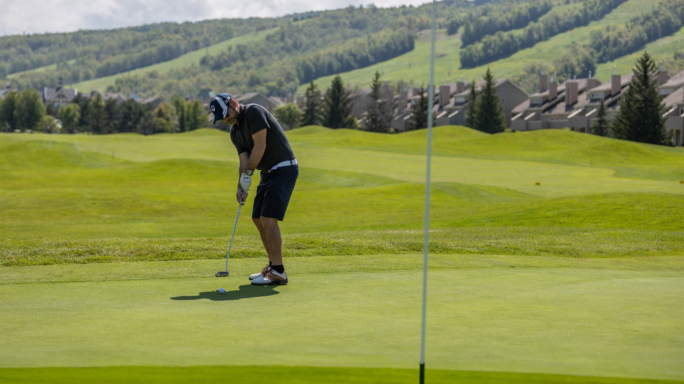 Spring into Summer | Blue Mountain