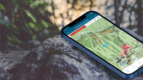 Discover Fall in Ontario | Blue Mountain Resort