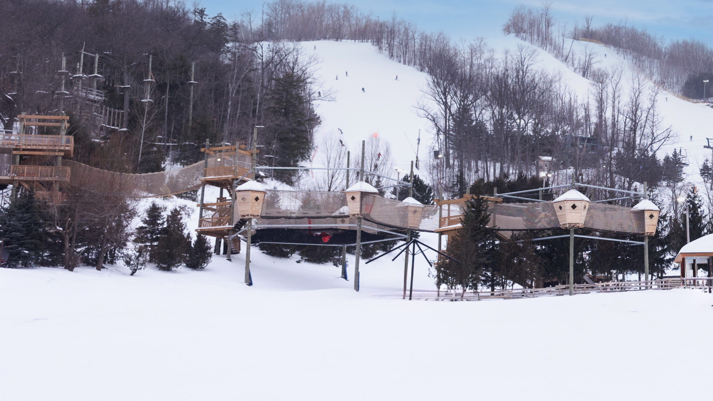 Canopy Climb Net Adventure | Blue Mountain Resort, Ontario