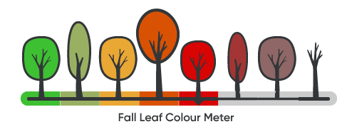 Discover Fall in Ontario | Blue Mountain Resort