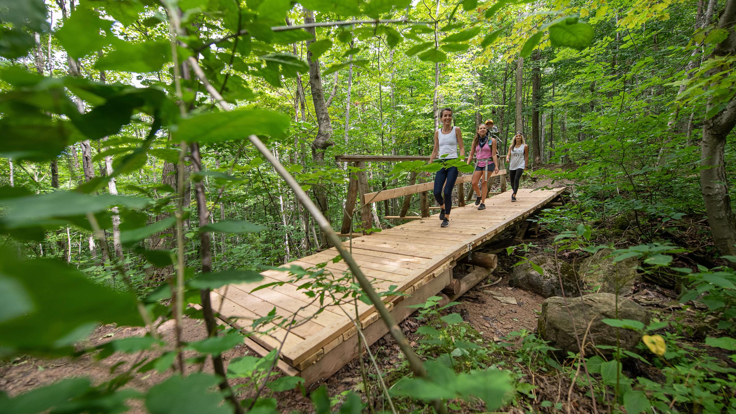 Blue Mountain Resort Hiking Trails in Ontario