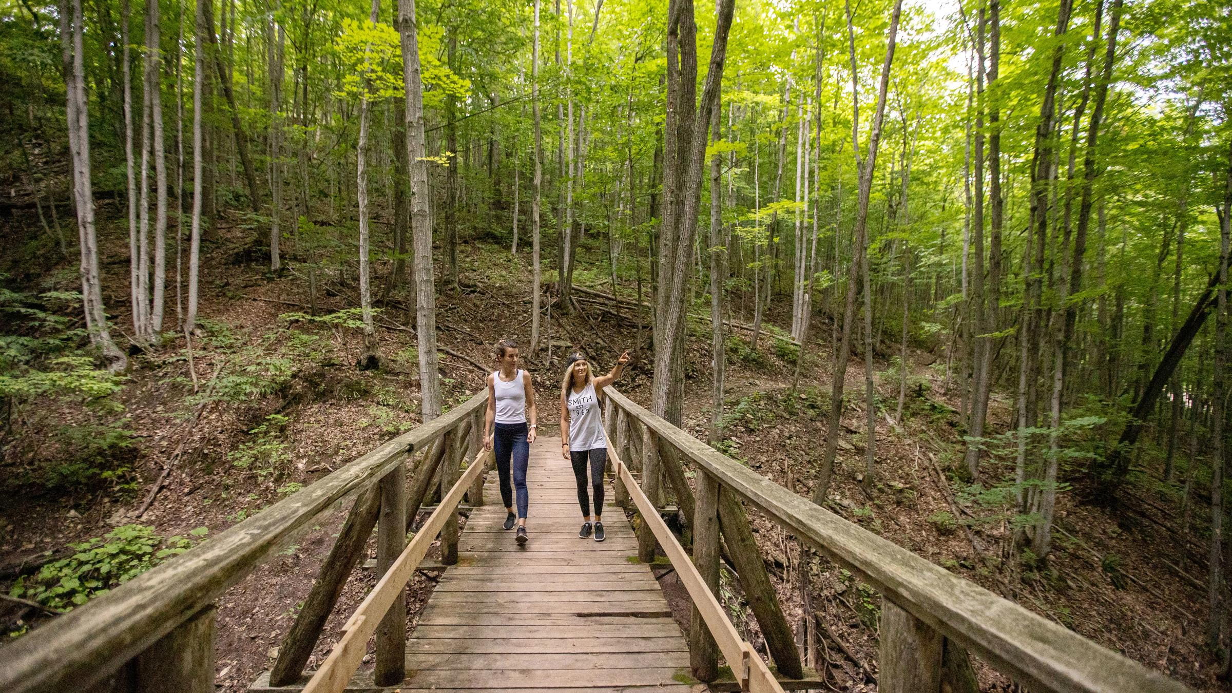 Online Waivers | Blue Mountain Resort