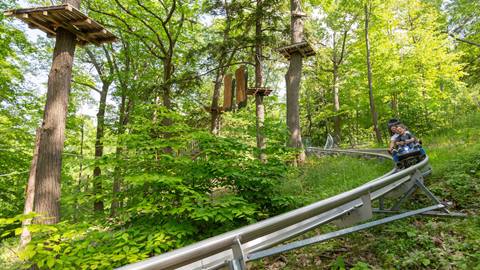 Ridge Runner Mountain Coaster| Blue Mountain Resort