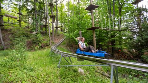 Ridge Runner Mountain Coaster| Blue Mountain Resort