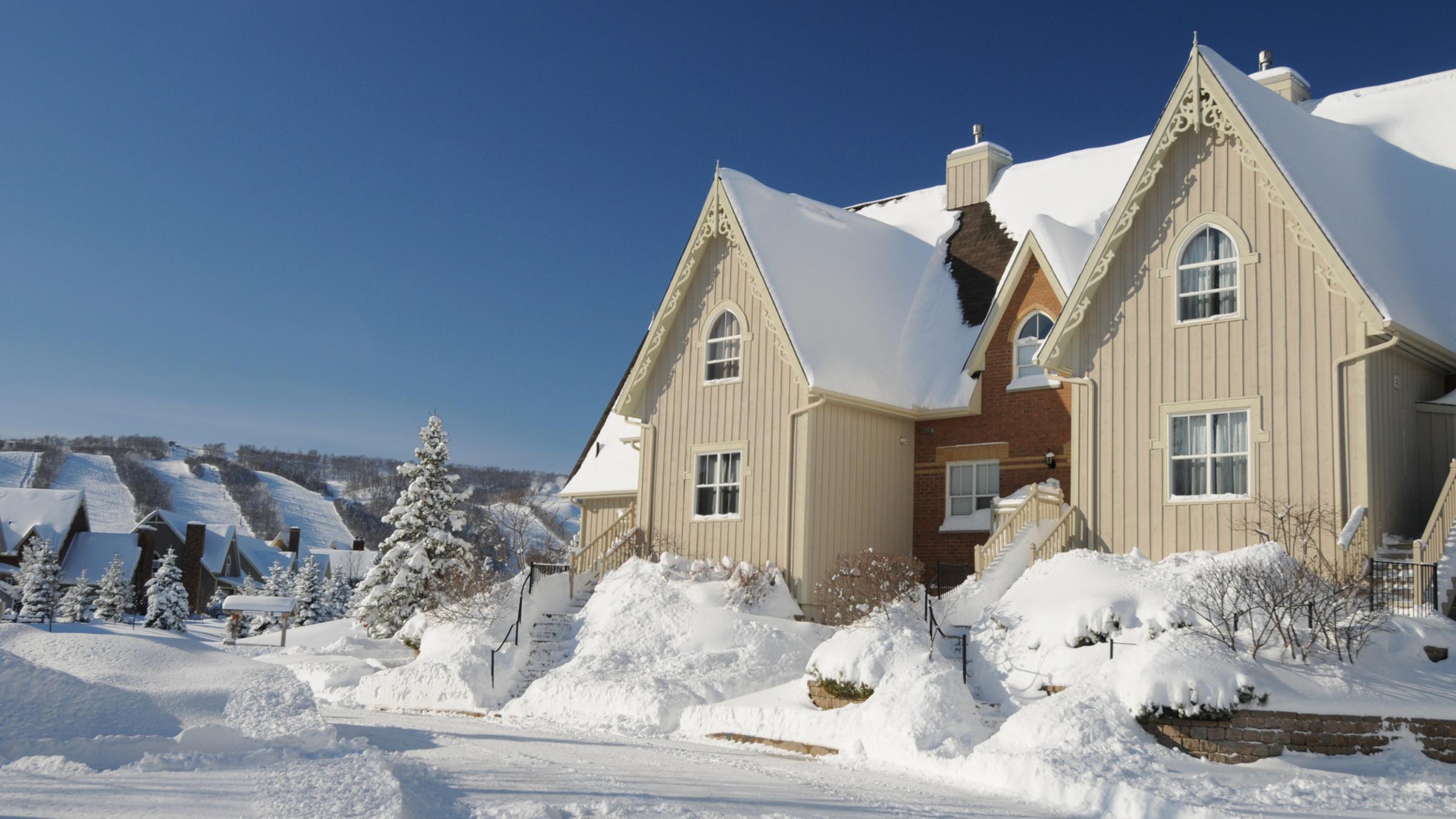 Ridge Runner Mountain Coaster| Blue Mountain Resort